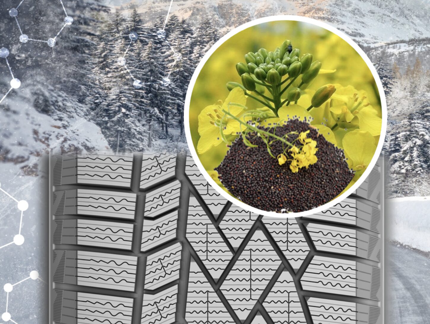 コンチネンタル ノース・コンタクトNC7なら氷上でも安心！特徴や技術を解説 - 埼玉県川越市タイヤ交換 ホイール販売店